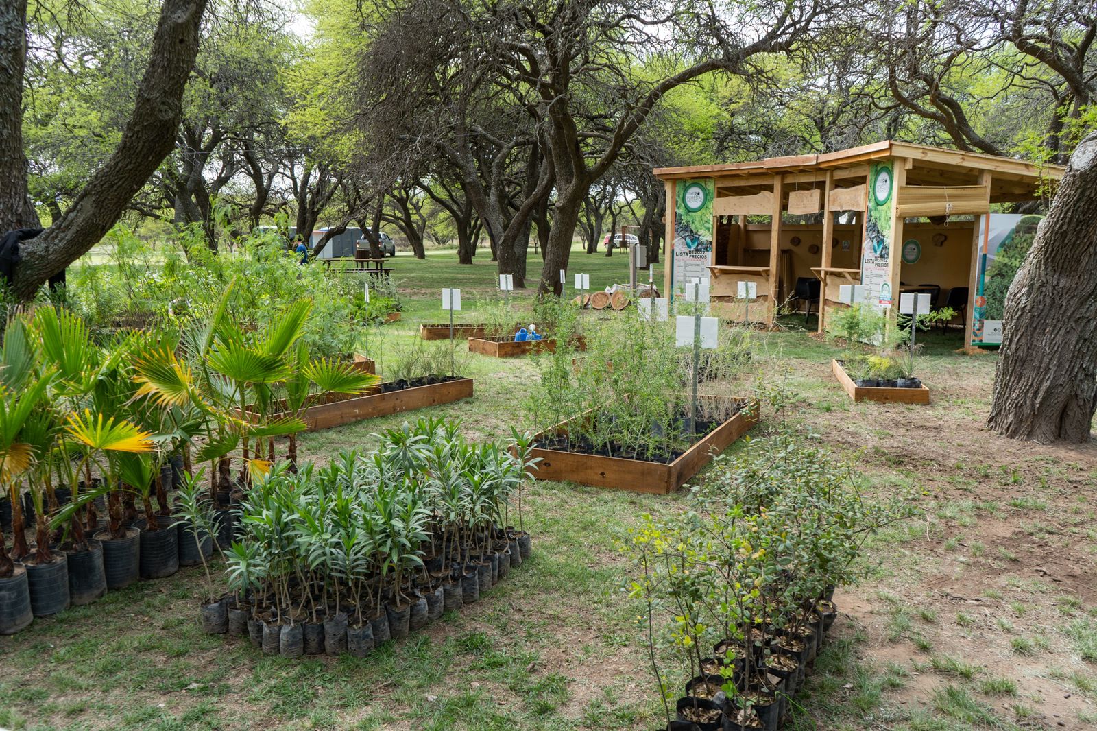 Regresa la Expo Vivero al Jardín Botánico de Toay