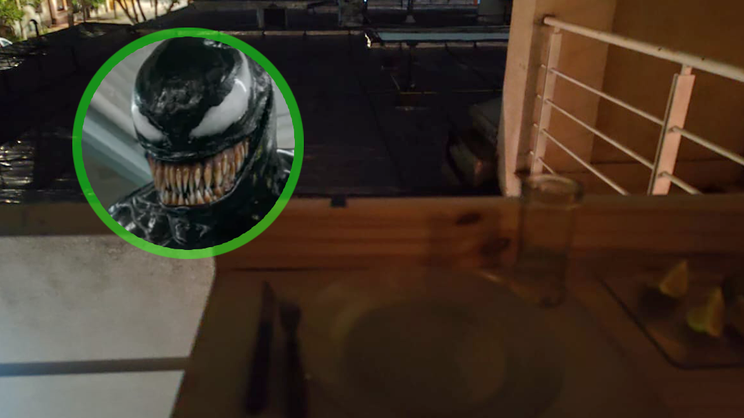 SANTA ROSA: CENABAN EN LA TERRAZA Y LO VIERON A “VENOM”, UN CONOCIDO ...