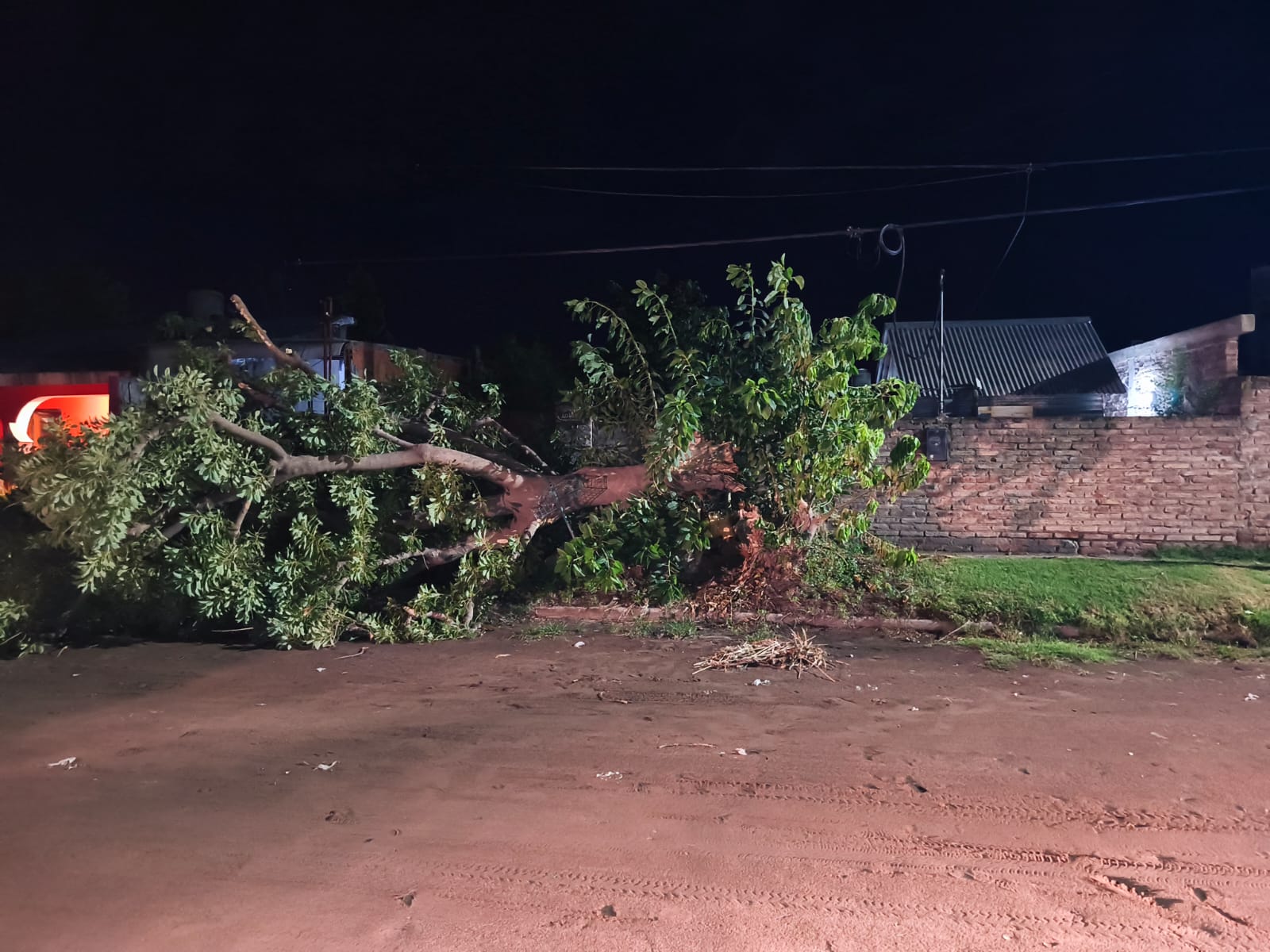 SANTA ROSA: LA TORMENTA VOLTEÓ ÁRBOLES, COLUMNAS Y HASTA CASI VUELA UN ...
